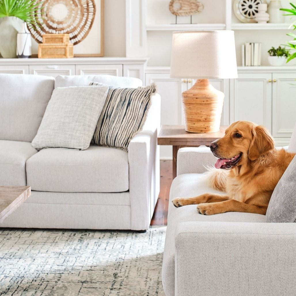 ashley barnes | Search Snapchat Creators, Filters and Lenses