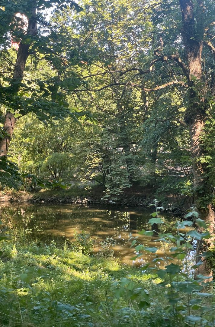 sherii | Search Snapchat Creators, Filters and Lenses