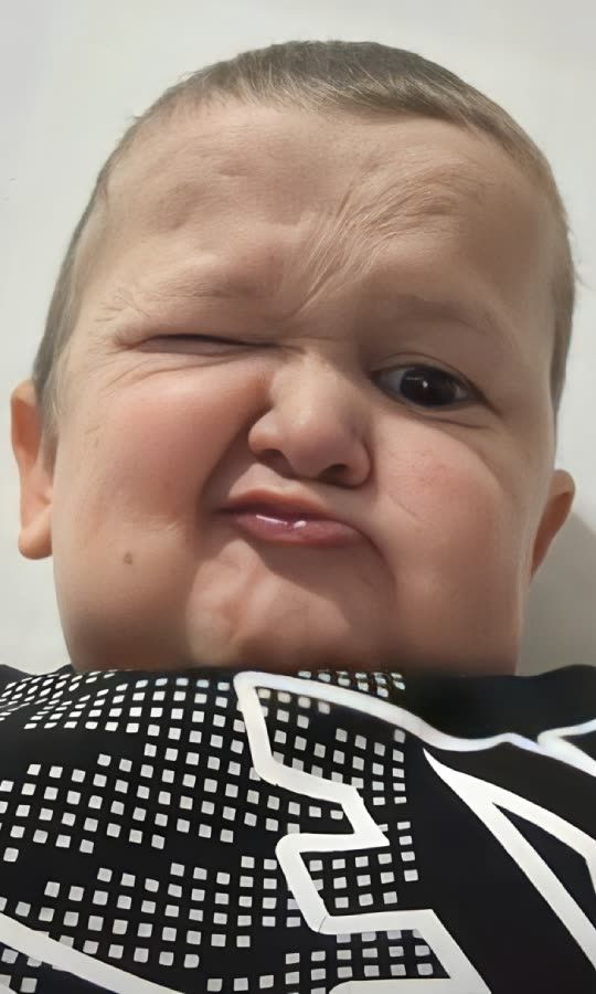 Cowbelly Memes | Snapchat