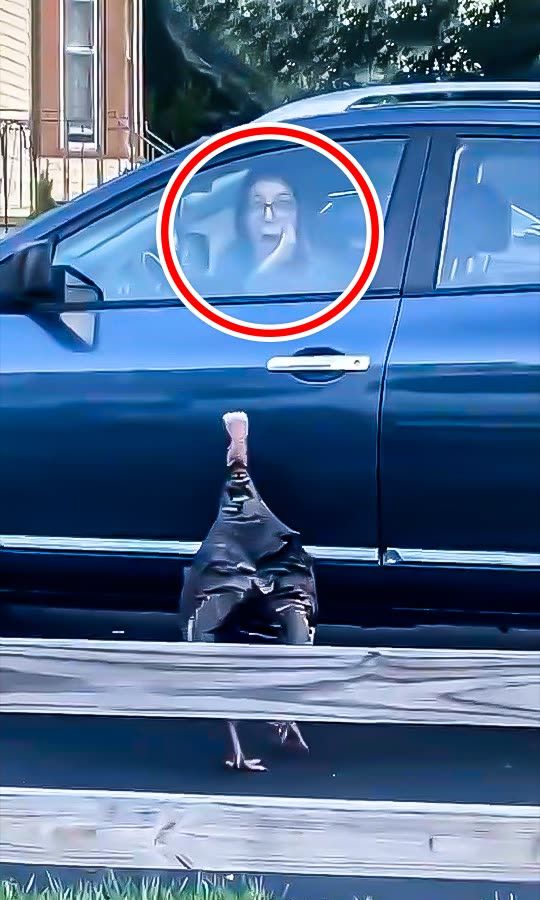 Rear View | Snapchat