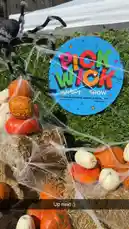 Charlotte G. (@charlotte.godoy) | Snapchat Stories, Spotlight & Lenses