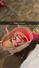 Shayna Loren (@shayna_loren) | Snapchat Stories, Spotlight & Lenses