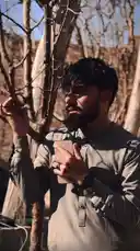 Aziz Shinwari (@azizz_shinwari) | Snapchat Stories, Spotlight & Lenses