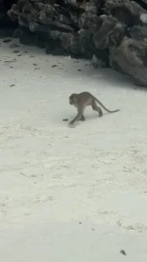 Damn Gg (@damnn_ggg) | Snapchat Stories, Spotlight & Lenses