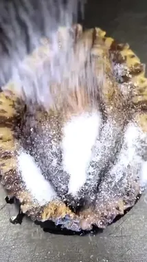 Bebahan Official (@bebahanofficial) | Snapchat Stories, Spotlight & Lenses