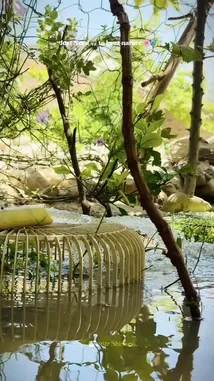 Aziz Shinwari (@azizz_shinwari) | Snapchat Stories, Spotlight & Lenses