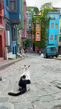 Jine Atrushi (@jineaatrushi) | Snapchat Stories, Spotlight & Lenses