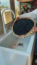 Abir El Saghir (@abiresag) | Snapchat Stories, Spotlight & Lenses