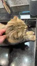 MrFifaSA (@mrfifasa) | Snapchat Stories, Spotlight & Lenses