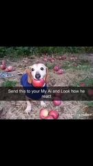 emjayplays | Spotlight on Snapchat