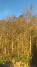 Mathilda Hogberg (@mathilda_bergs) | Snapchat Stories, Spotlight & Lenses