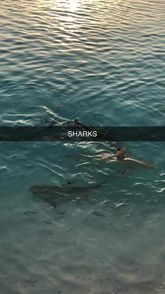 Mathilda Hogberg (@mathilda_bergs) | Snapchat Stories, Spotlight & Lenses