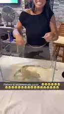 HMI (@hachemi95) | Snapchat Stories, Spotlight & Lenses