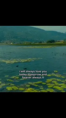 Vikelsik (@vikelsik2002) | Snapchat Stories, Spotlight & Lenses