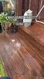 music | Search Snapchat Creators, Filters and Lenses