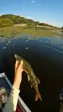 reels | Search Snapchat Creators, Filters and Lenses