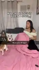 snap sounds | Search Snapchat Creators, Filters and Lenses