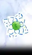 flower | Search Snapchat Creators, Filters and Lenses