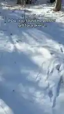 snapcam | Search Snapchat Creators, Filters and Lenses