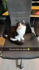 LockDownLife (@lockdownlifeyt) | Snapchat Stories, Spotlight & Lenses