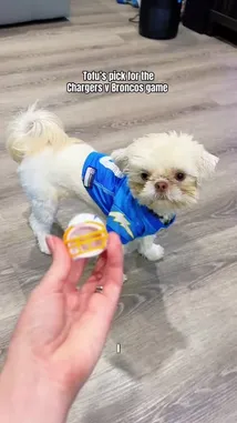 Scuba Steph (@scubastephsnap) | Snapchat Stories, Spotlight & Lenses