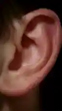 أنس آكشن (@anas_action) | القصص ومنصّة "الأضواء" وعدسات Lens في سناب شات