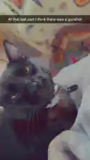 𝔇𝔞𝔡𝔡𝔶 𝔏𝔢𝔵 🐐 (@goat_spitt) | Snapchat Stories, Spotlight & Lenses