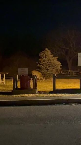 rachel / keet (@rachelchaleff) | Snapchat Stories, Spotlight & Lenses