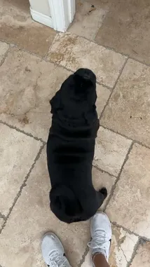 charlize 💌🧸 (@charrlliizee) | Snapchat Stories, Spotlight & Lenses