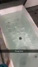 Cali Brad (@calibrad_42) | Snapchat Stories, Spotlight & Lenses