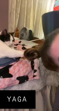 kellymae👑 (@kellywashere) | Snapchat Stories, Spotlight & Lenses