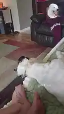 Dusty Dubs (@thedustydubs) | Snapchat Stories, Spotlight & Lenses