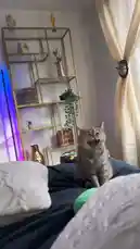 Andreas Eskander (@andreaseskander) | Snapchat Stories, Spotlight & Lenses