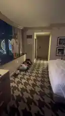 shy (@shytaylaxo) | Snapchat Stories, Spotlight & Lenses