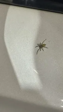 Azra Lifts (@azra_lift) | Snapchat Stories, Spotlight & Lenses