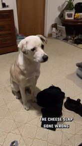 JuniperCandy (@juniper.candy) | Snapchat Stories, Spotlight & Lenses