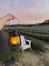 Janie Fit (@thejaniefit) | Snapchat Stories, Spotlight & Lenses