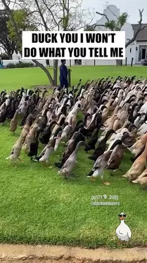 Dusty Dubs (@thedustydubs) | Snapchat Stories, Spotlight & Lenses