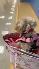 Shayna Loren (@shayna_loren) | Snapchat Stories, Spotlight & Lenses