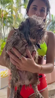 Violet Brandani (@lilvioletb) | Snapchat Stories, Spotlight & Lenses