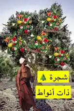 أنس آكشن (@anas_action) | القصص ومنصّة "الأضواء" وعدسات Lens في سناب شات