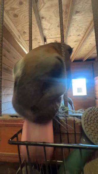 rachel / keet (@rachelchaleff) | Snapchat Stories, Spotlight & Lenses