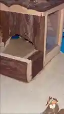 Dusty Dubs (@thedustydubs) | Snapchat Stories, Spotlight & Lenses