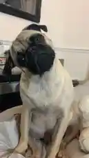 Charlotte Parkes (@charlparkesx) | Snapchat Stories, Spotlight & Lenses