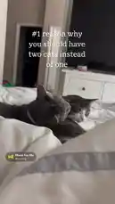 uwu tofu (@uwutofuu) | Snapchat Stories, Spotlight & Lenses