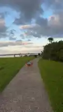 Sven Rubenbauer (@svenandandy) | Snapchat Stories, Spotlight & Lenses