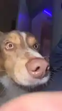 Evan Wade (@itsevanwade) | Snapchat Stories, Spotlight & Lenses