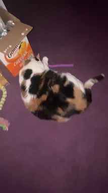 kellymae👑 (@kellywashere) | Snapchat Stories, Spotlight & Lenses