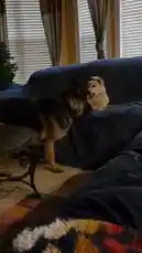 Alyssa Capps (@acappsofficial) | Snapchat Stories, Spotlight & Lenses