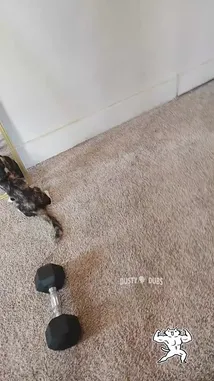 Dusty Dubs (@thedustydubs) | Snapchat Stories, Spotlight & Lenses